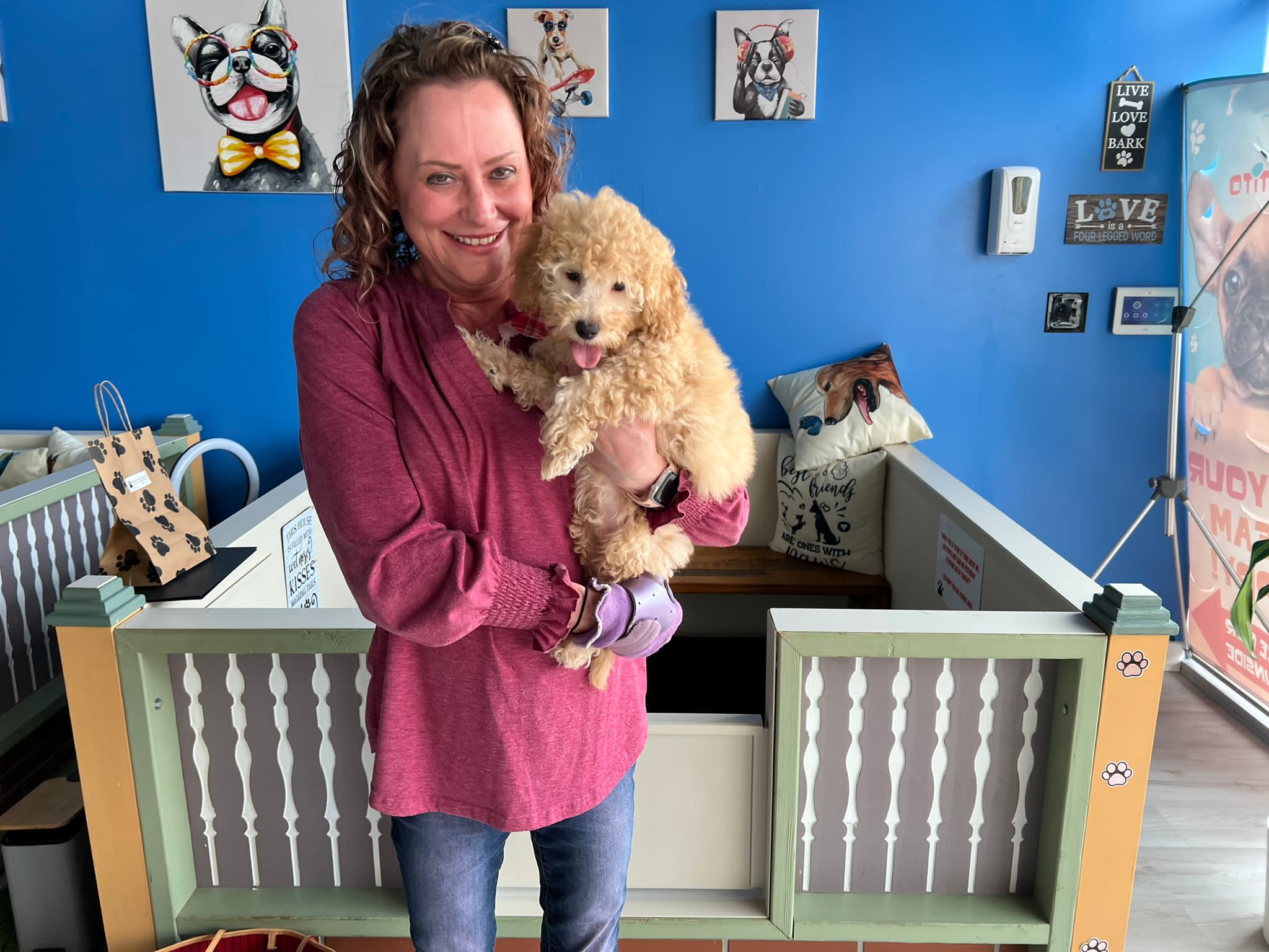 Products – Pettito