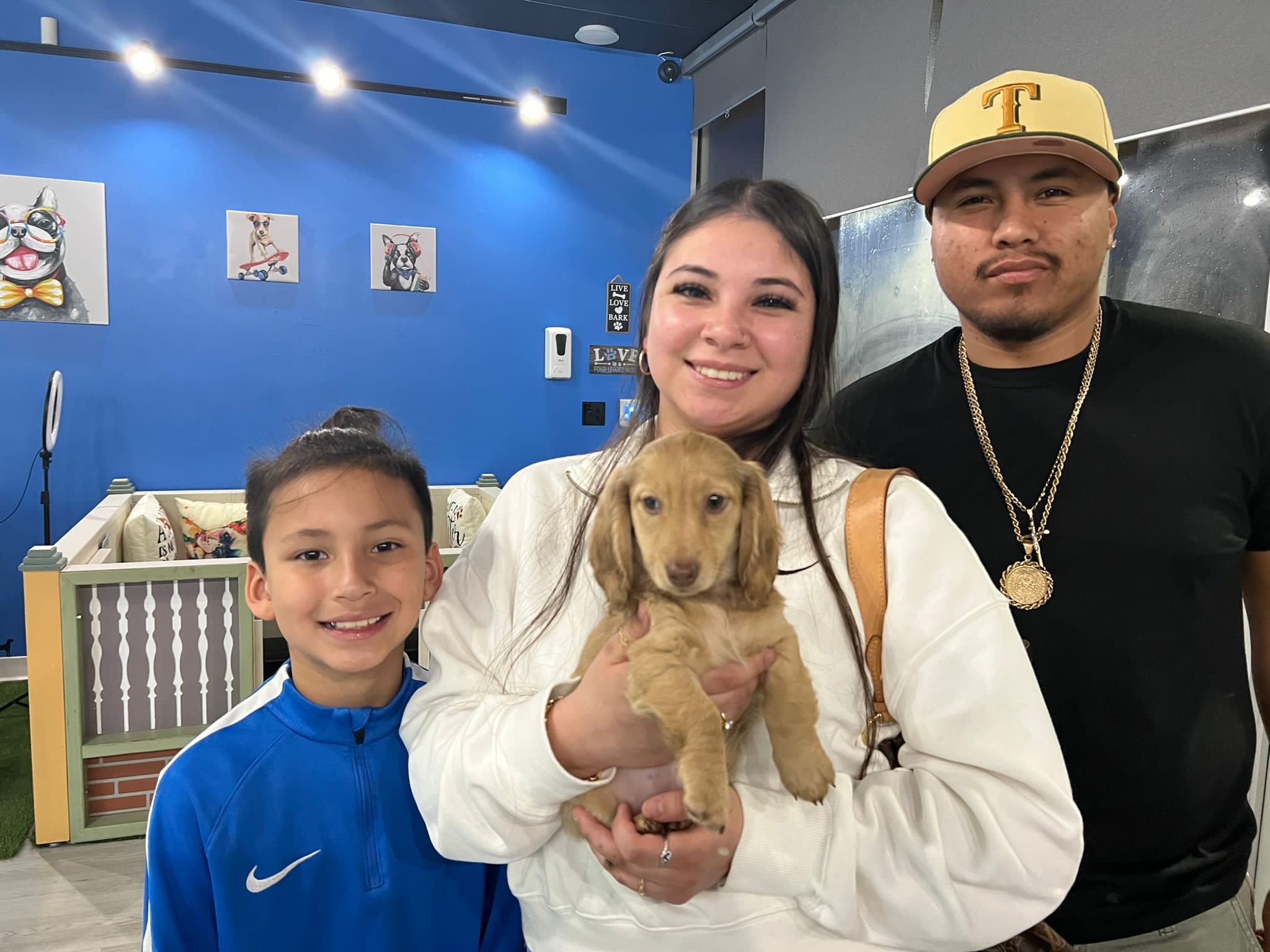 Products – Pettito